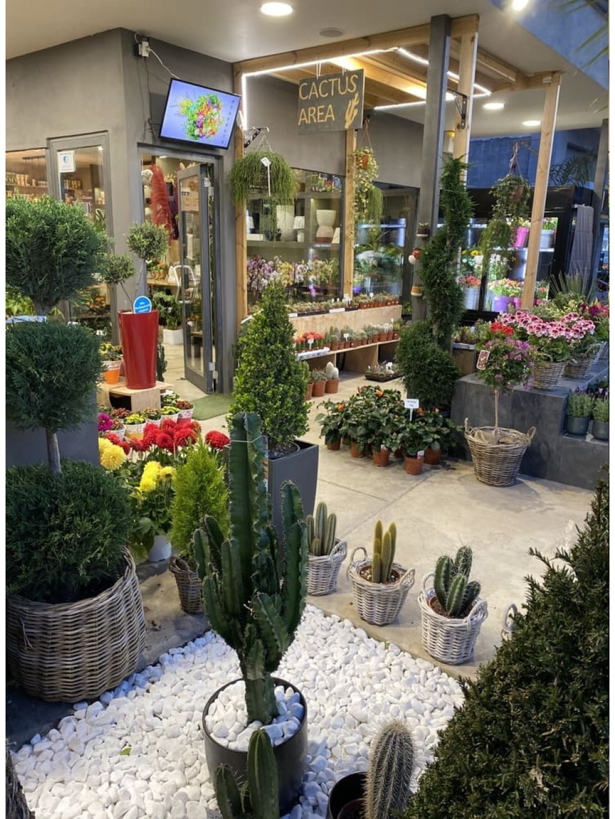 Kontogiannis Flower Boutique | Ανθοπωλείο Κοντογιάννης