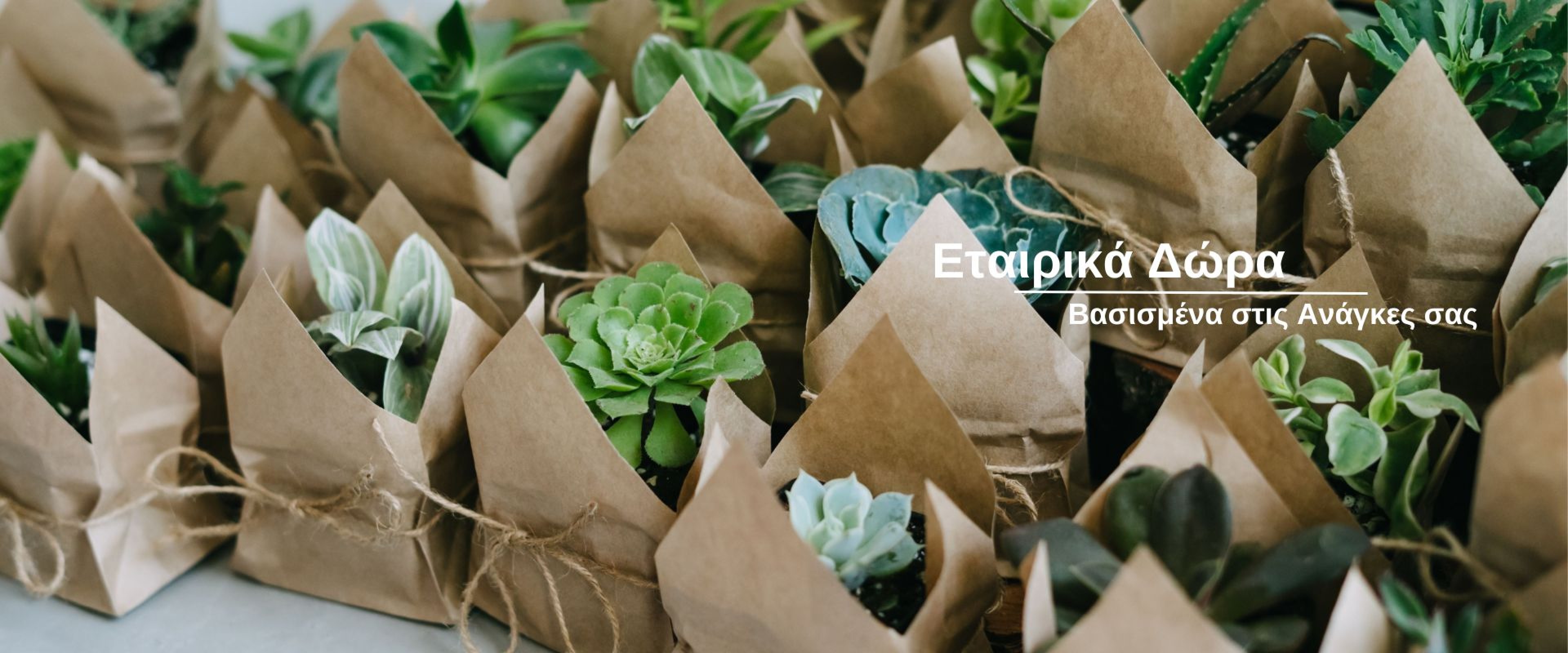 Kontogiannis Flower Boutique | Ανθοπωλείο Κοντογιάννης